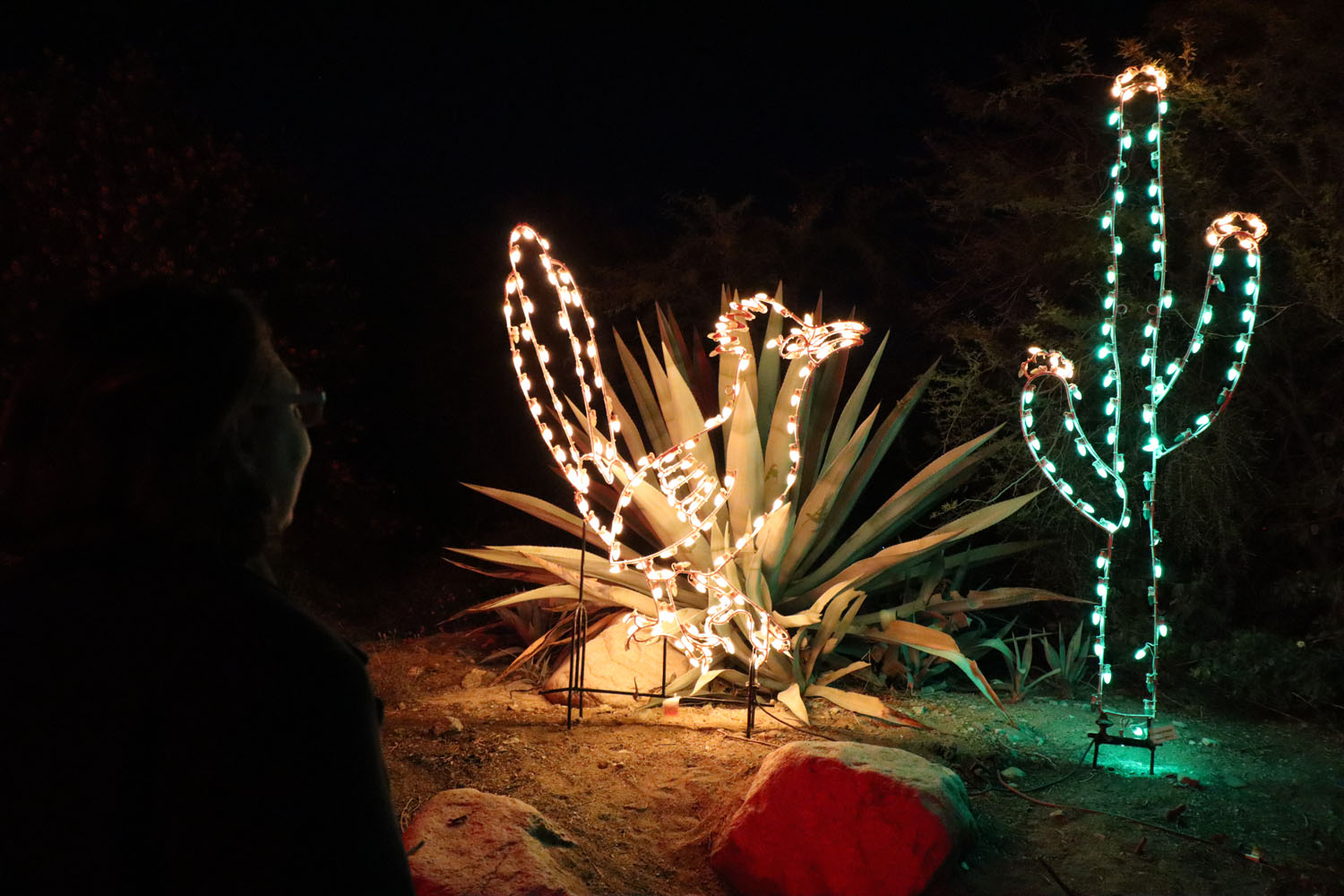 Living Desert WildLights - Wow. A blog.