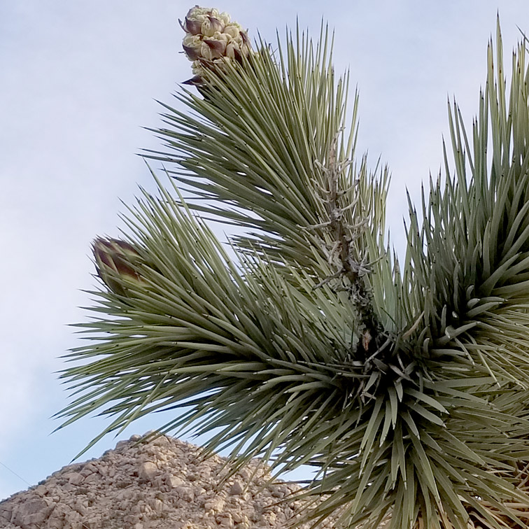 Random Axe of Kindness and Other Groaners (or: Here Are Some Bad Jokes ...